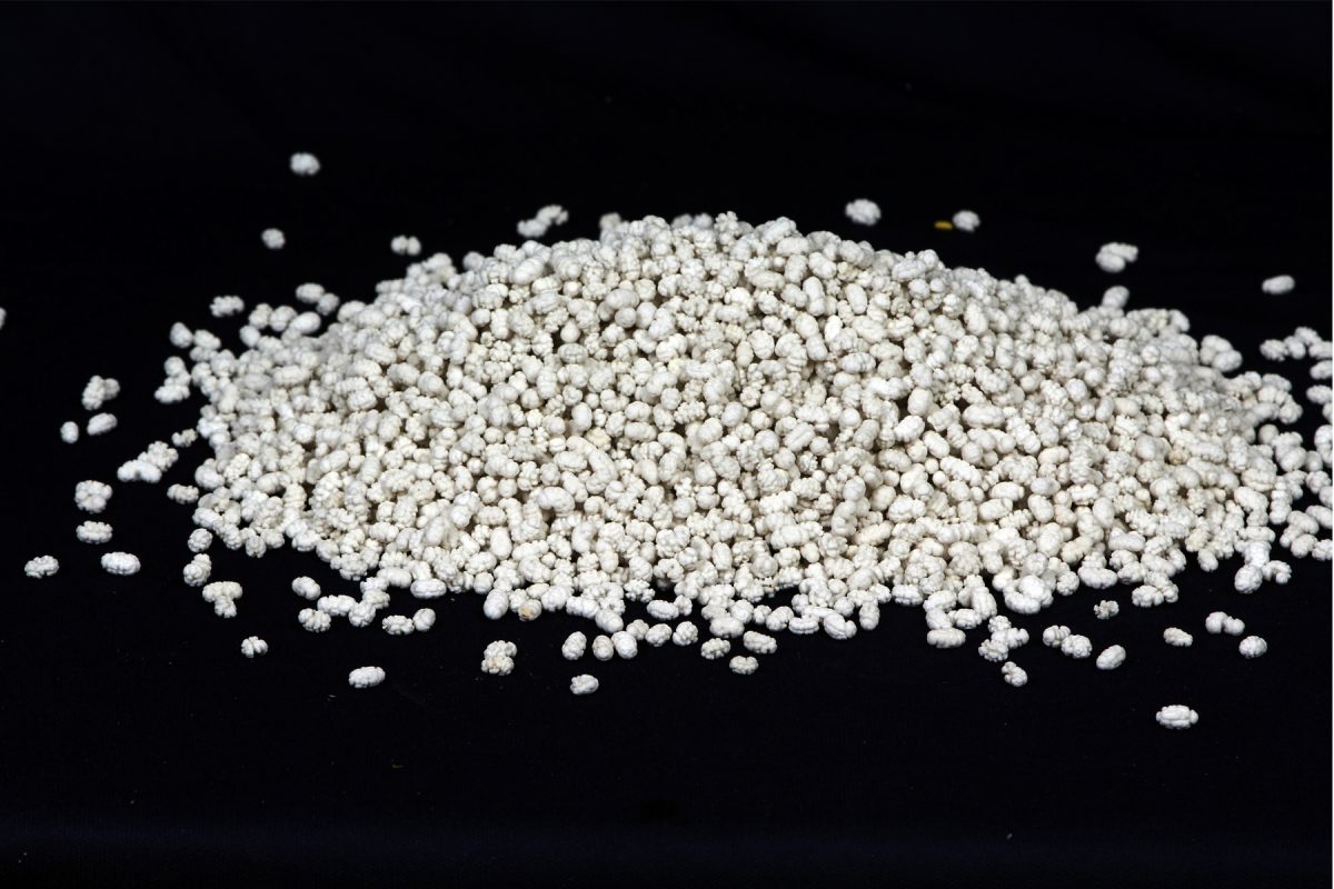 White Jeerakam - Calicut Sweets